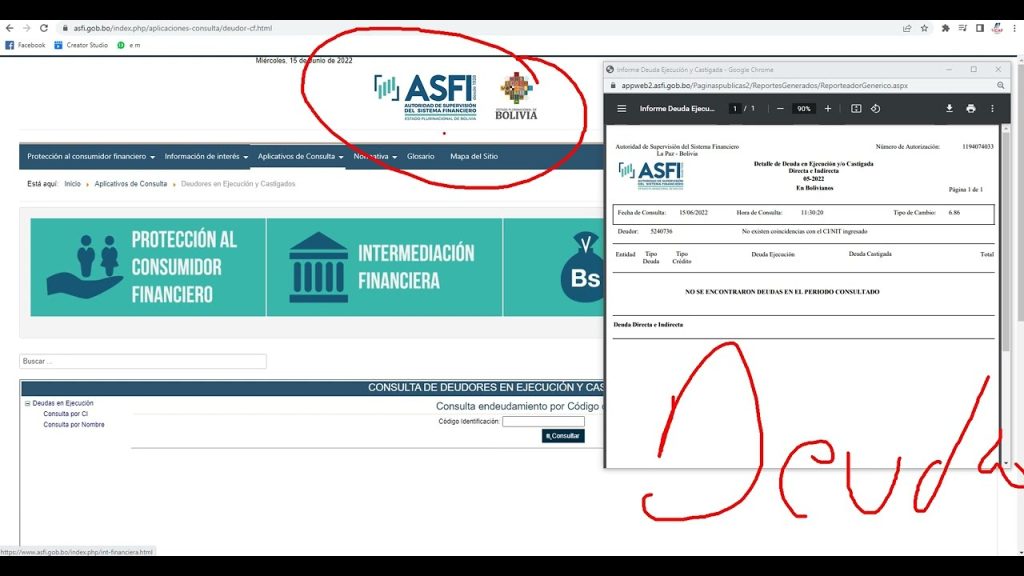 Cómo Saber si Estoy en Central de Riesgo Bolivia